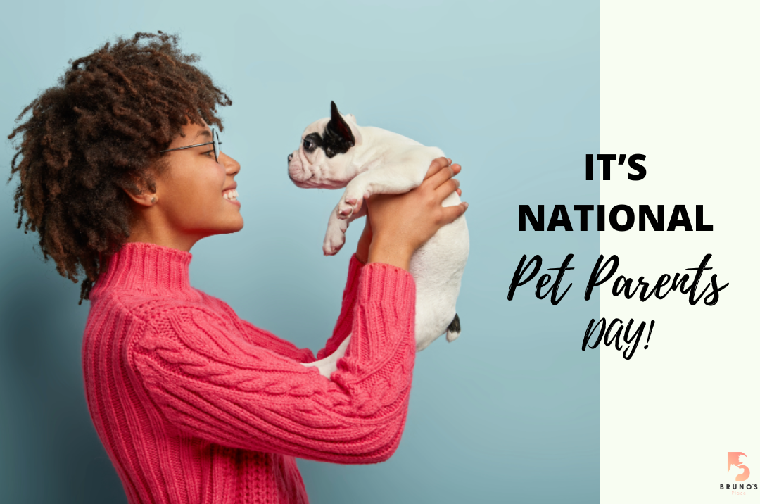 National Pet Parents Day 2024! – Bruno's Place