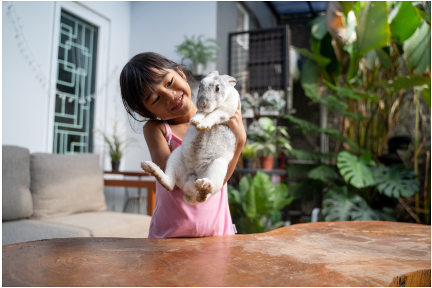 Best Pet Choices for Children – Bruno's Place